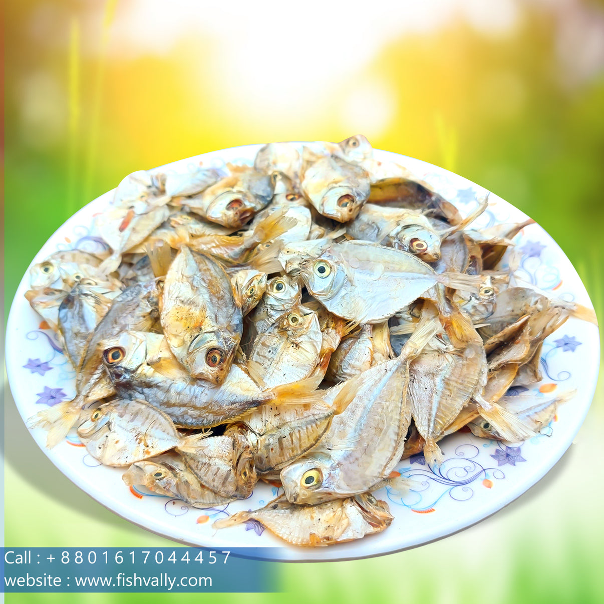 Tek Chanda Sutki – Fish Vally