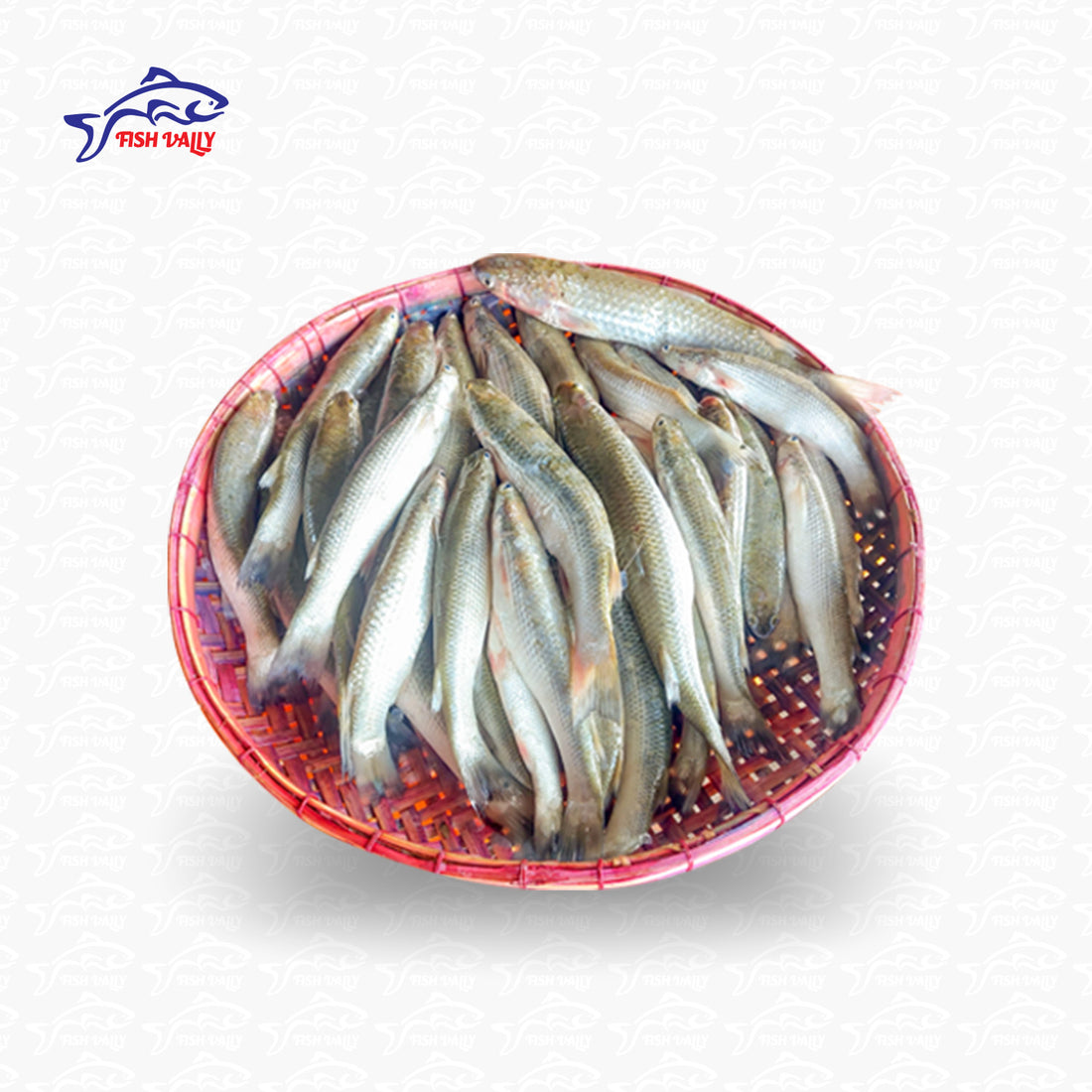 Vata Fish (ভাটা মাছ) – Fish Vally