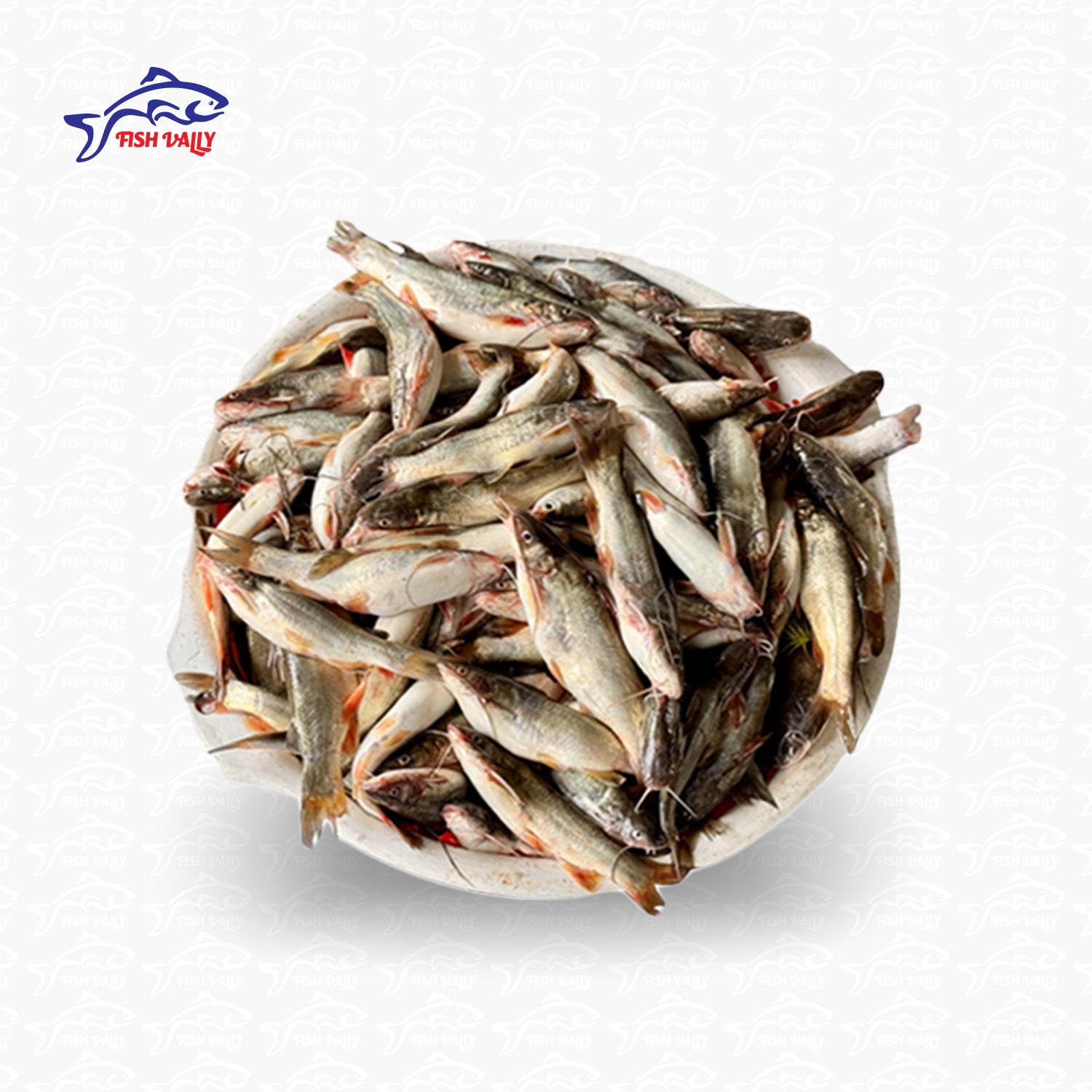 Tengra Fish (টেংরা মাছ) – Fish Vally